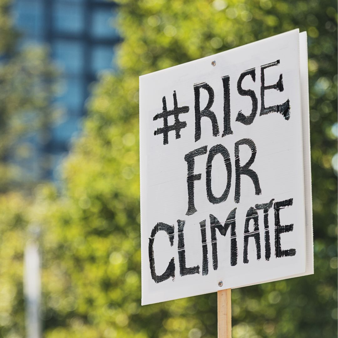 Eco-Anxiety: Rest and Joy as Radical Resistance | Utopia